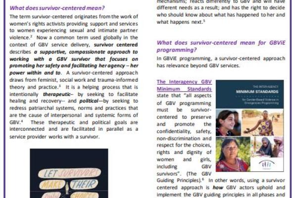 GBV AoR Helpdesk | Social Development Direct